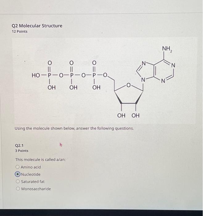 Solved Q2 Molecular Structure 12 Points O HO-P-O-P-O-P-O. | | Chegg.com