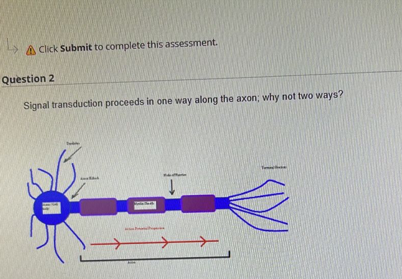 Solved A Click submit to complete this assessment.Question | Chegg.com