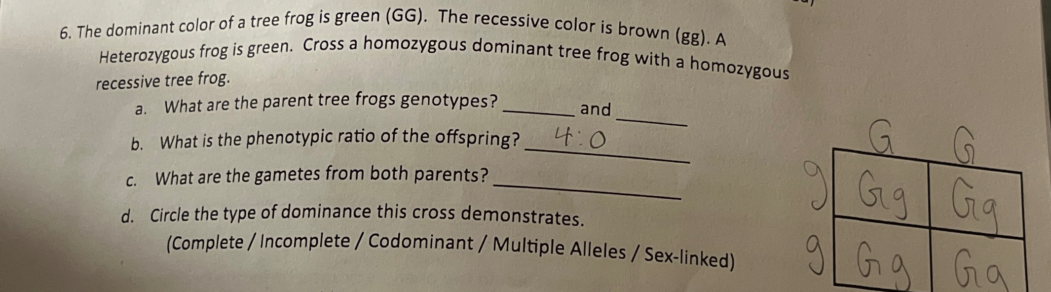 Solved The dominant color of a tree frog is green (GG). ﻿The | Chegg.com