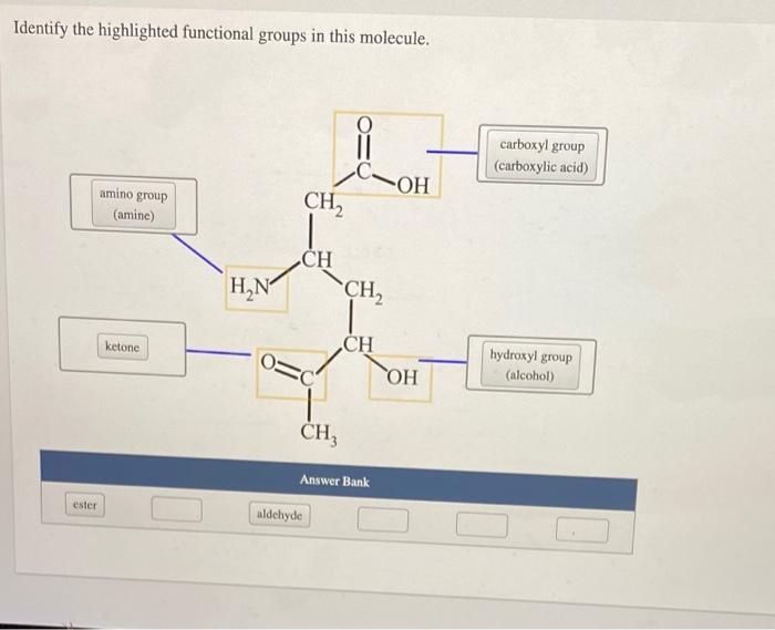 Solved Identify the highlighted functional groups in this | Chegg.com