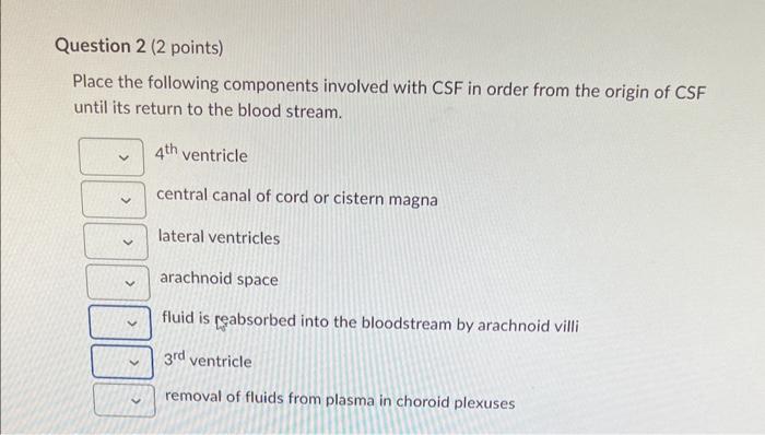 Solved Place the following components involved with CSF in | Chegg.com