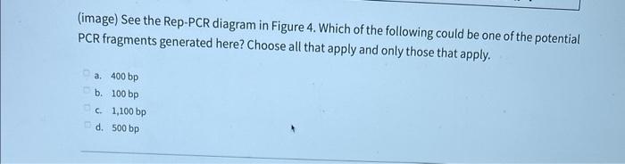 Solved =100bp = Rep element =1,200 bp Figure 4. Rep-PCR. | Chegg.com