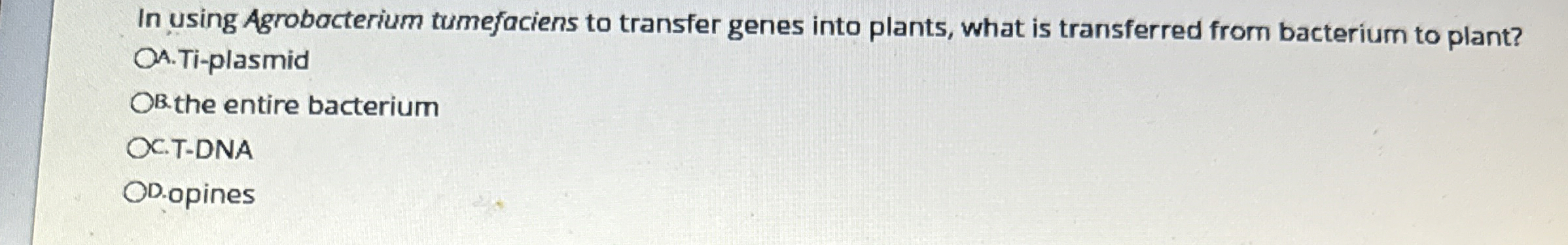 Solved In using Agrobacterium tumefaciens to transfer genes | Chegg.com