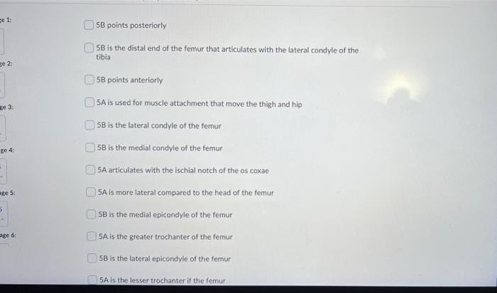 Solved 5A 5B Select all of the following that are true | Chegg.com