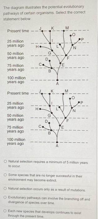 Solved Analyzing the data from this graph alongside | Chegg.com