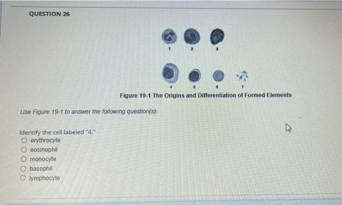 Solved QUESTION 26 Figure 19-1 The Origins and | Chegg.com