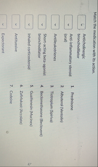 Solved Match the medication with its action. | Chegg.com