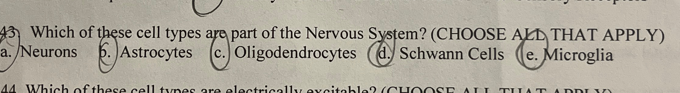 Solved Which of these cell types arg part of the Nervous | Chegg.com