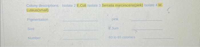 Colony descriptions: Isolate 1 E.Coli Isolate 2 | Chegg.com