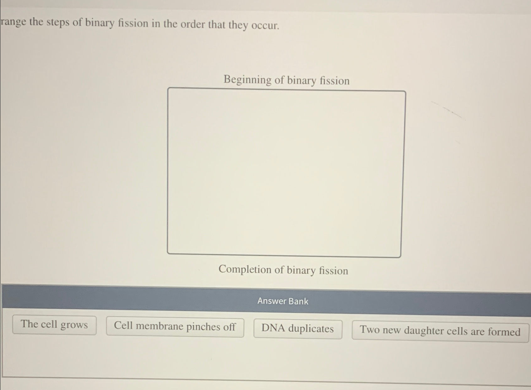 Solved range the steps of binary fission in the order that | Chegg.com