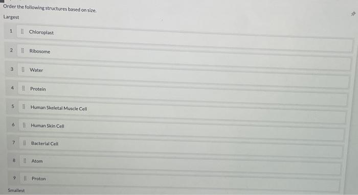 Solved Order the following structures based on size. Largest | Chegg.com