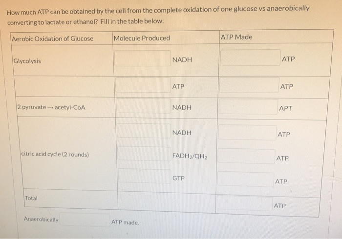 Solved How much ATP can be obtained by the cell from the | Chegg.com
