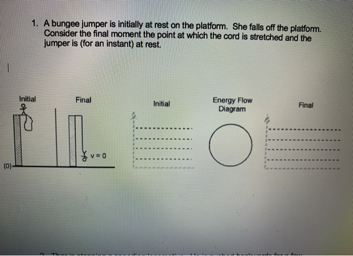Solved 1. A bungee jumper is initially at rest on the | Chegg.com