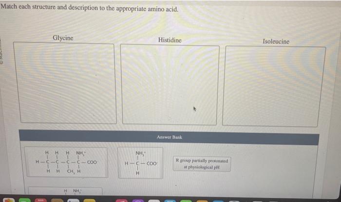 Solved Match each structure and description to the | Chegg.com