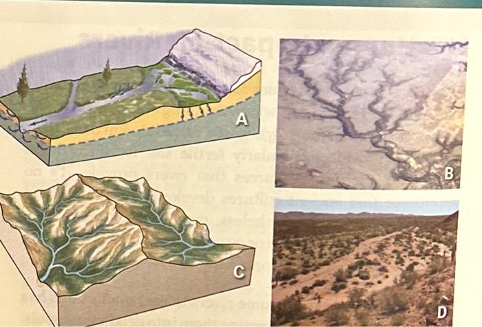 Solved Name the different types of drainage networks. Which | Chegg.com