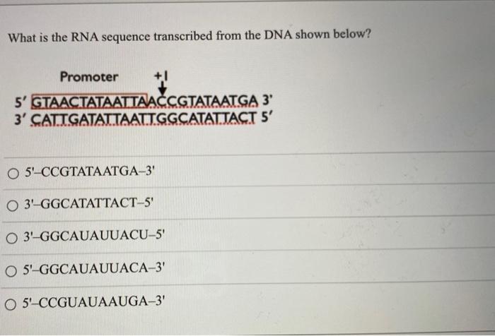 Solved What is the RNA sequence transcribed from the DNA | Chegg.com