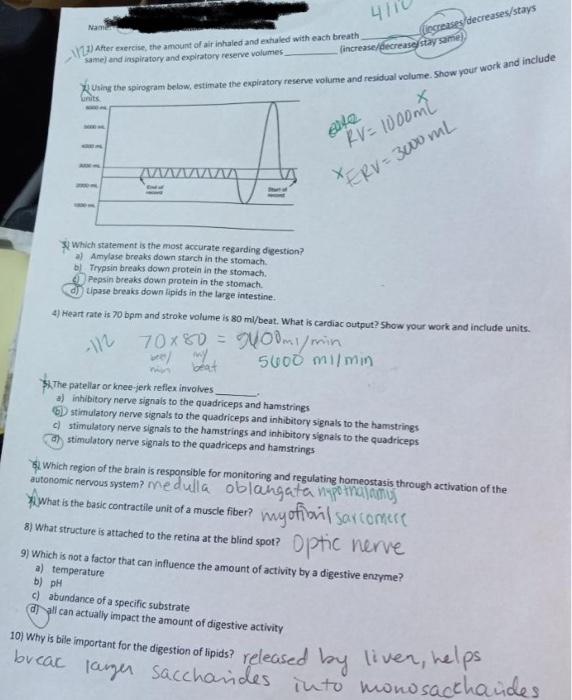 Solved X. Whing the spirogram below, estimate the expiratory | Chegg.com