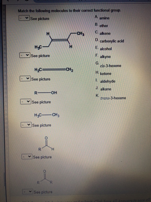 Solved Match the following molecules to their correct | Chegg.com