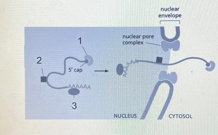 Solved IMAGE IS ATTACHED FOR REFERENCE OF THE QUESTION.a) | Chegg.com