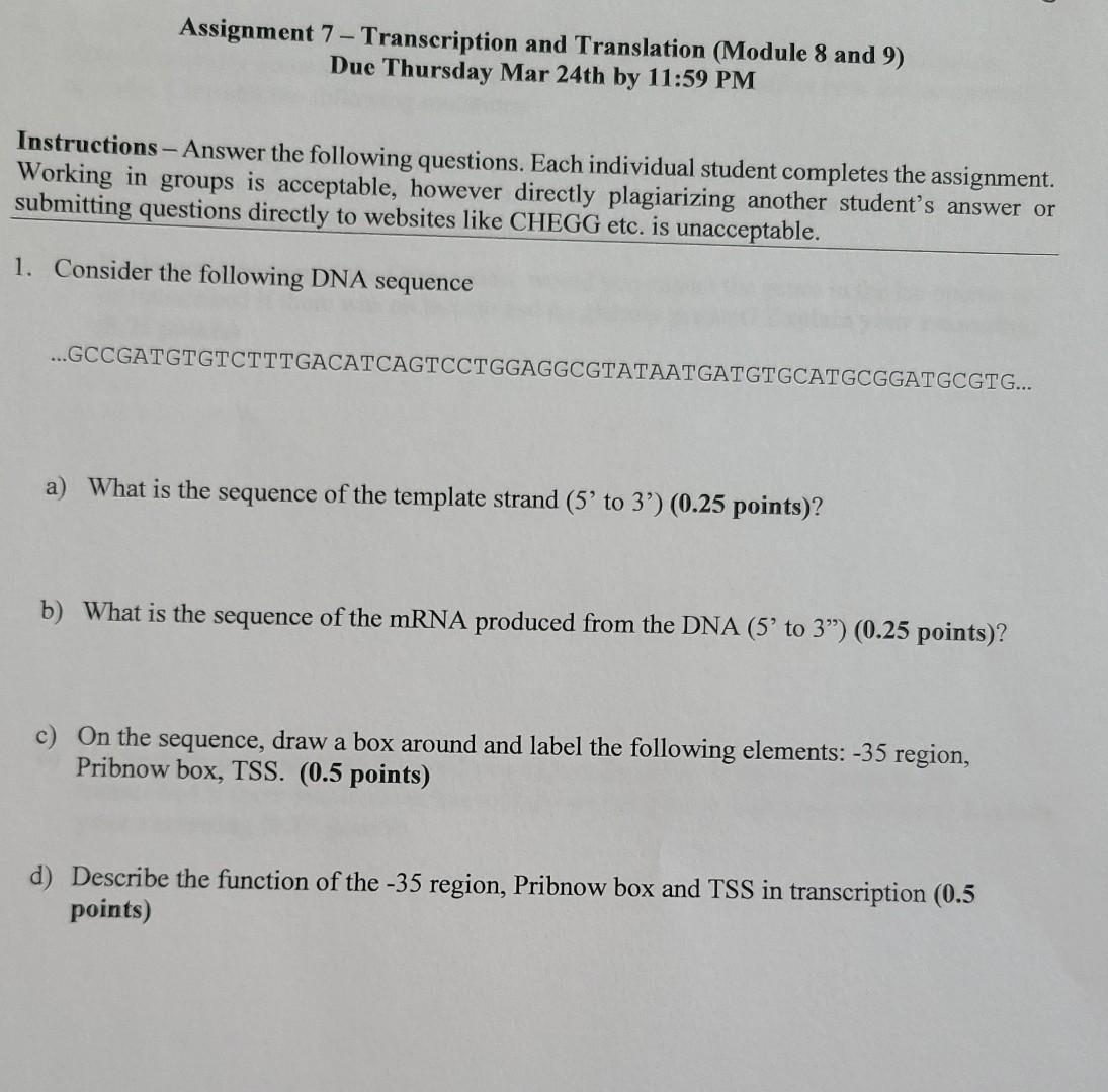 Assignment 7 - Transcription and Translation (Module | Chegg.com
