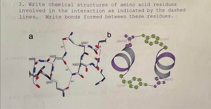 Solved 3. Write chemical structures of amino acid residues | Chegg.com