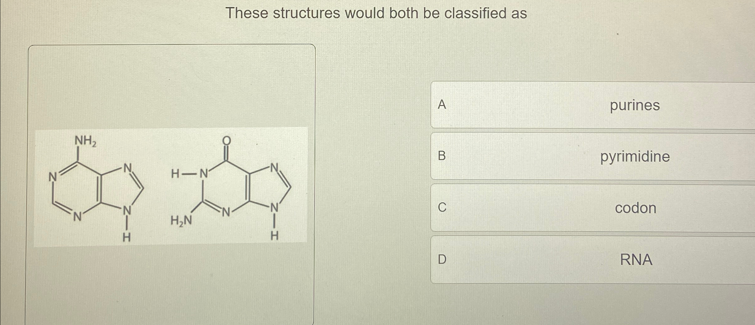 Solved These structures would both be classified asApurinesB | Chegg.com