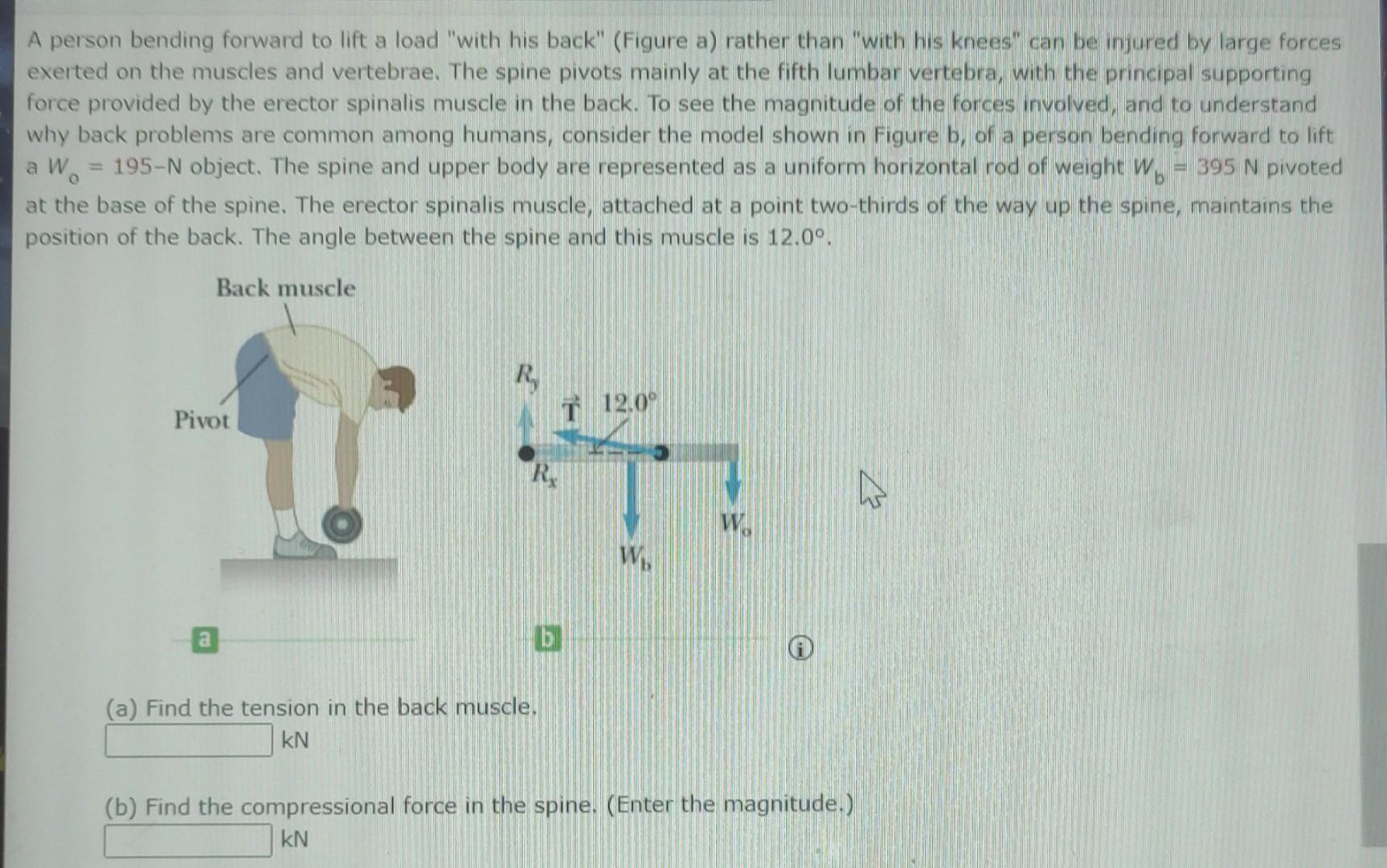 Solved A person bending forward to lift a load "with his | Chegg.com