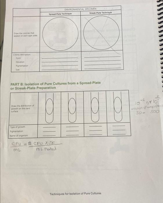 Solved About microbiology, based on the photos of bacteria | Chegg.com