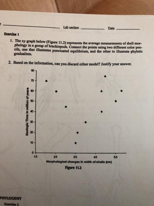 Solved Lab section Date Exercise 1 1. The xy graph below | Chegg.com