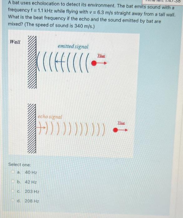 Solved A bat uses echolocation to detect its environment. | Chegg.com