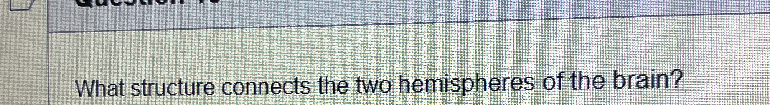 What structure connects the two hemispheres of the | Chegg.com