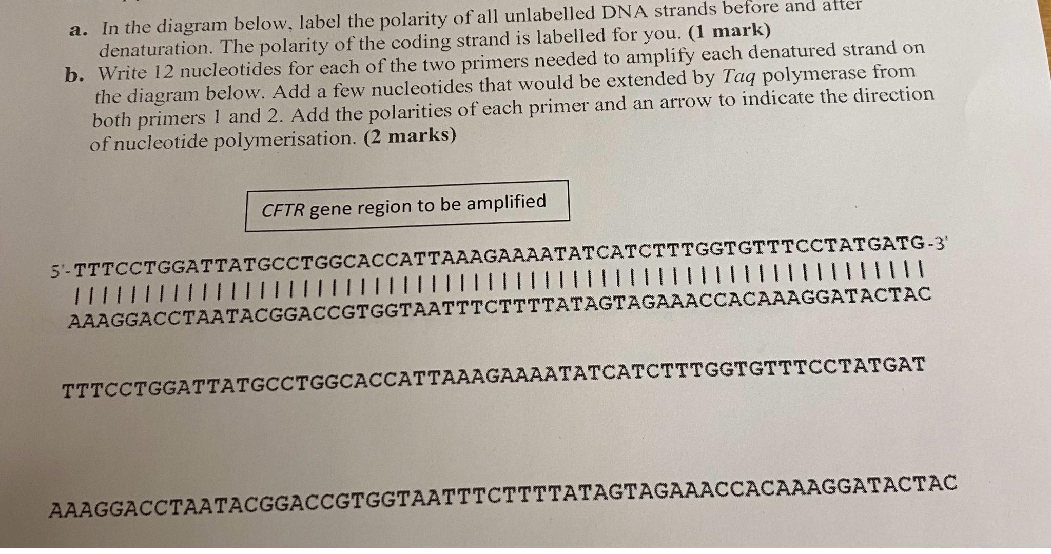 Solved a. ﻿In the diagram below, label the polarity of all | Chegg.com