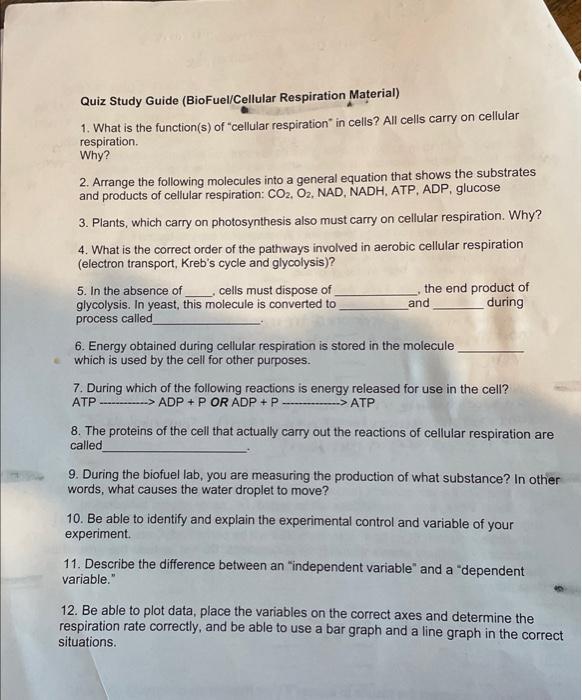 Solved Quiz Study Guide (BioFuel/Cellular Respiration | Chegg.com