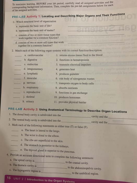 Solved To maximize learning, BEFORE your lab period, | Chegg.com
