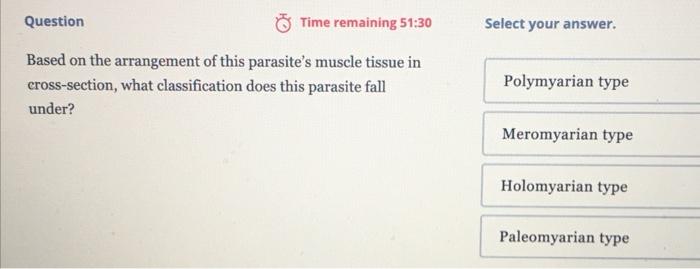 Question Time remaining 51:30 Based on the | Chegg.com