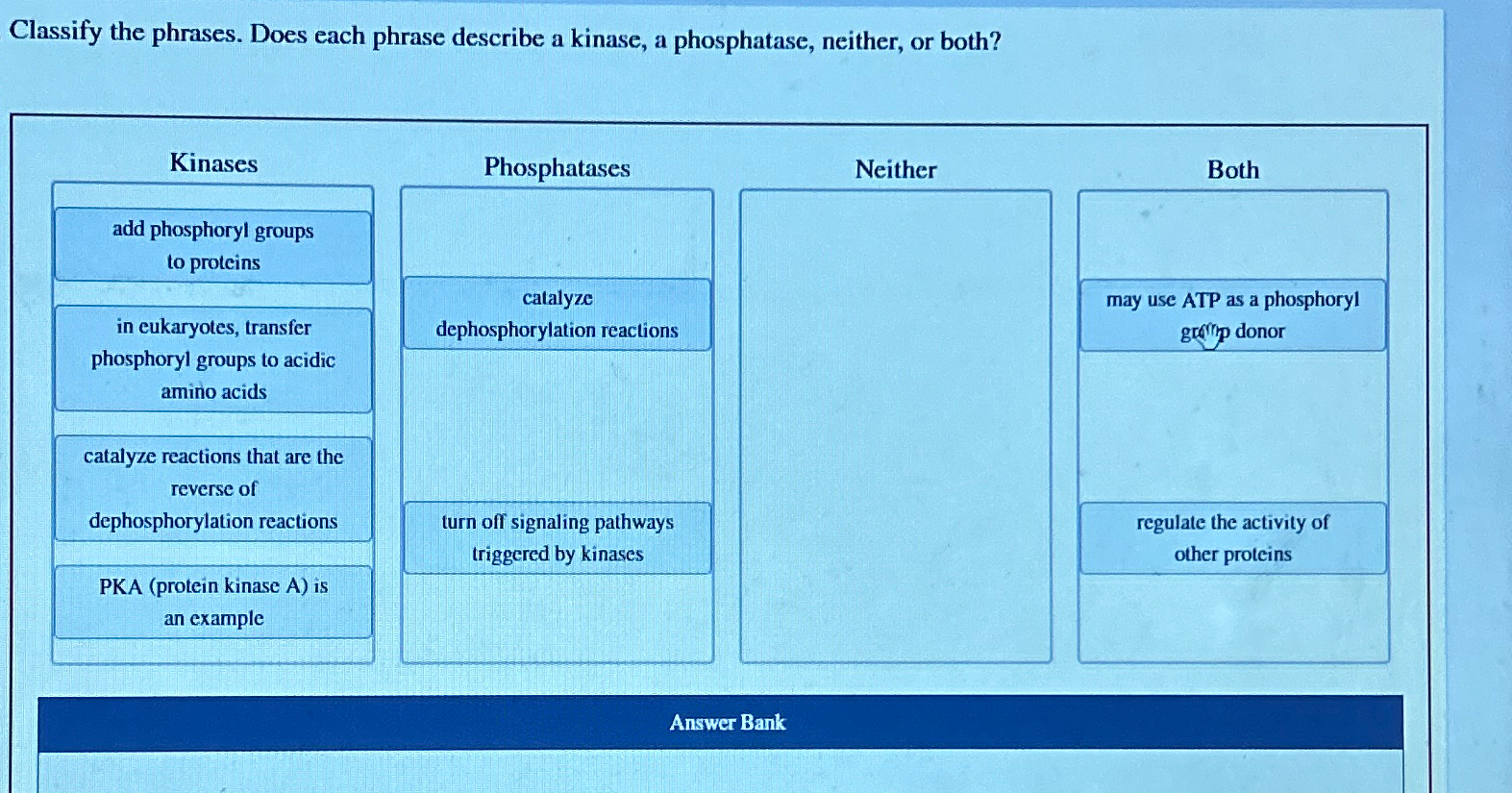 Solved Classify the phrases. Does each phrase describe a | Chegg.com