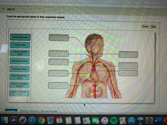 Solved Part A Drag the appropriate labels to their | Chegg.com