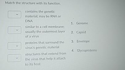 Solved Match the structure with its function.contains the | Chegg.com