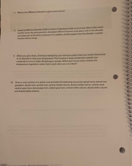 Solved DATE: SECTION: NAME NERVOUS SYSTEM LAB REVIEW | Chegg.com