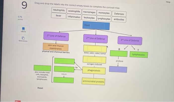 Solved Help 9 Drag and drop the labels into the correct | Chegg.com