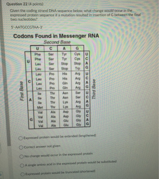 Solved Question 22 (4 points) Given the coding strand DNA | Chegg.com