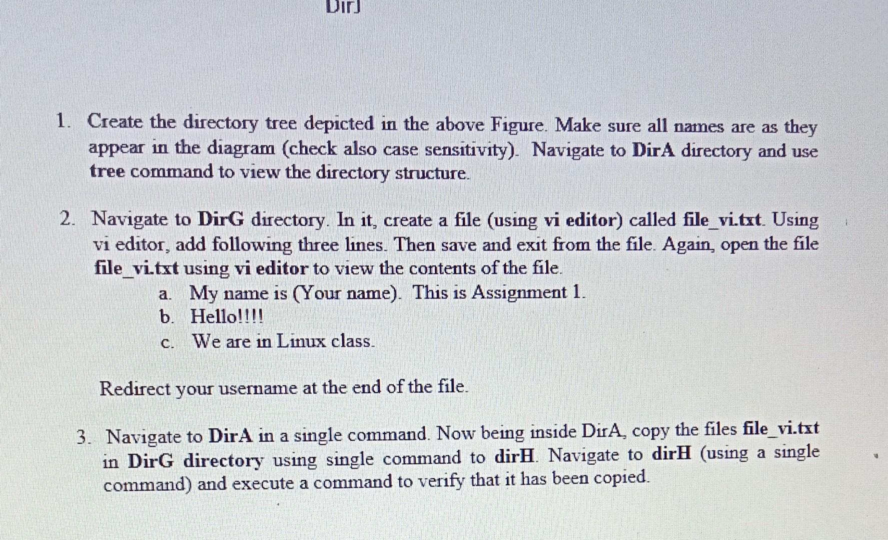 Solved Create a directory Assignment under your home | Chegg.com