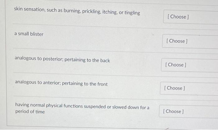 Solved skin sensation, such as burning, prickling, itching, | Chegg.com