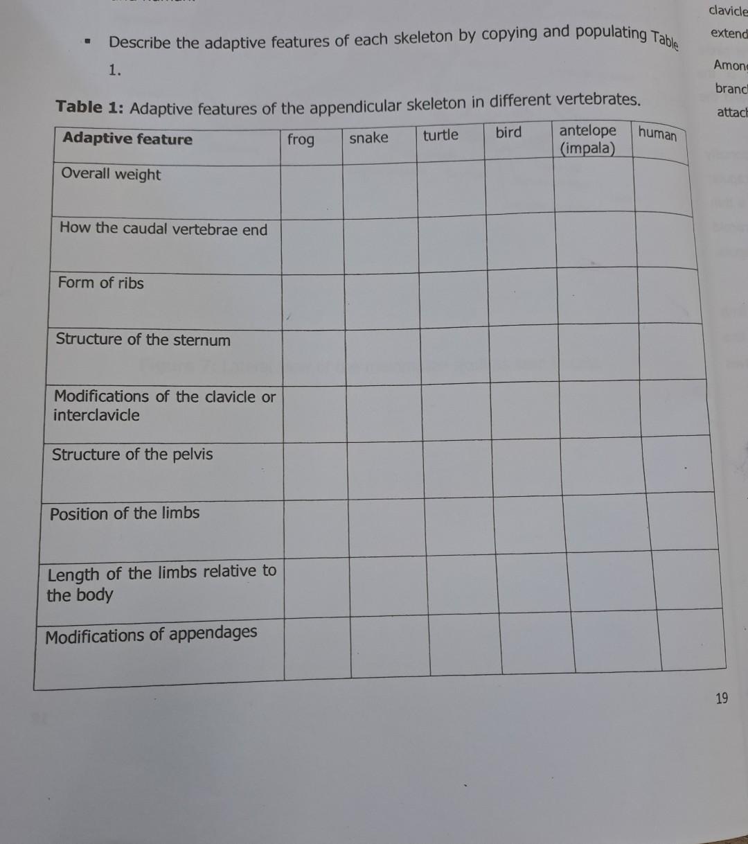 Solved - Describe the adaptive features of each skeleton by | Chegg.com