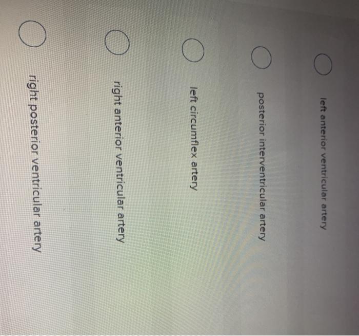 Solved Which structure is highlighted? left anterior | Chegg.com
