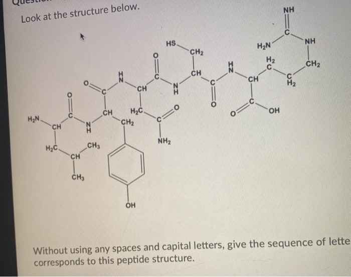Solved NH Look at the structure below. HS NH H2N CH2 H2 IZ | Chegg.com