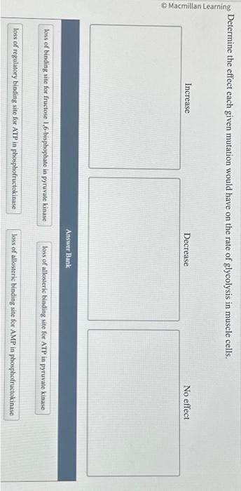 Solved Determine the effect each given mutation would have | Chegg.com
