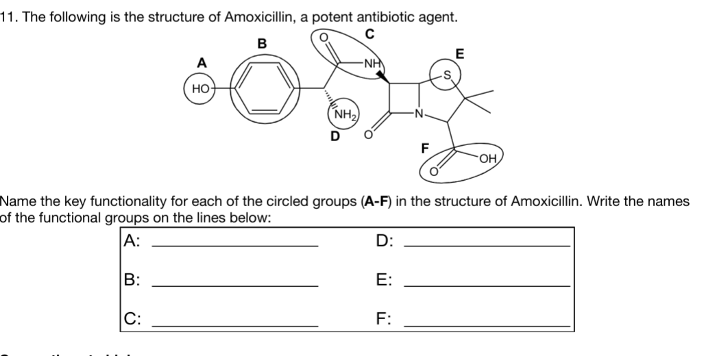 Solved The following is the structure of Amoxicillin. a | Chegg.com
