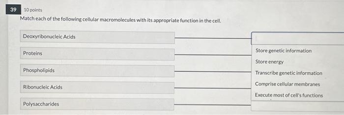 Solved Match each of the following cellular macromolecules | Chegg.com Solved Match each of the following cellular macromolecules | Chegg.com