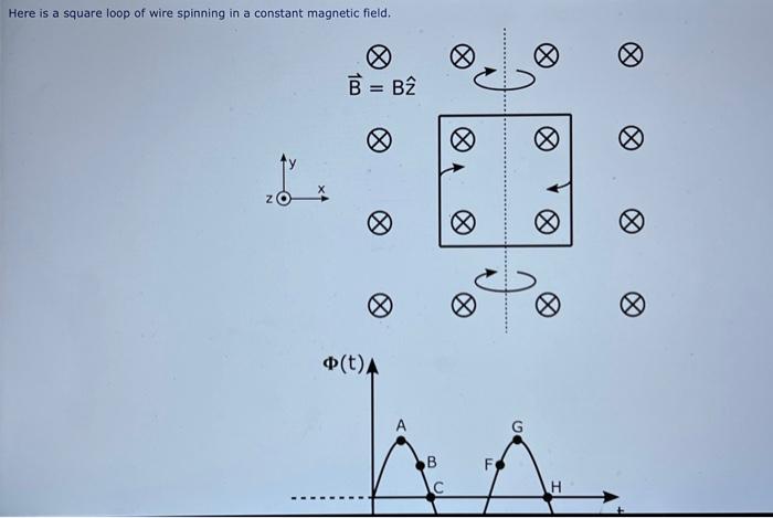 Solved Here is a square loop of wire spinning in a constant | Chegg.com